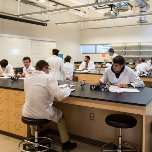 Mountain Lion Visit Day | UCCS