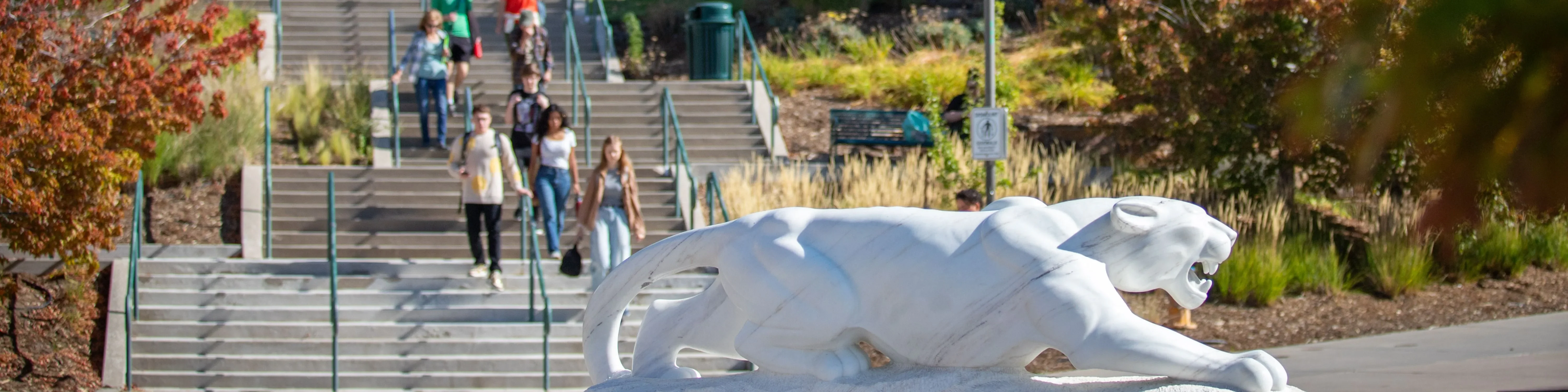 Scholarships at UCCS | UCCS